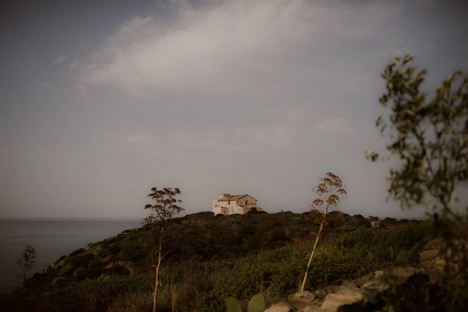 Wedding vendor in the spotlight: photographer Francesca Floris - Bride ...
